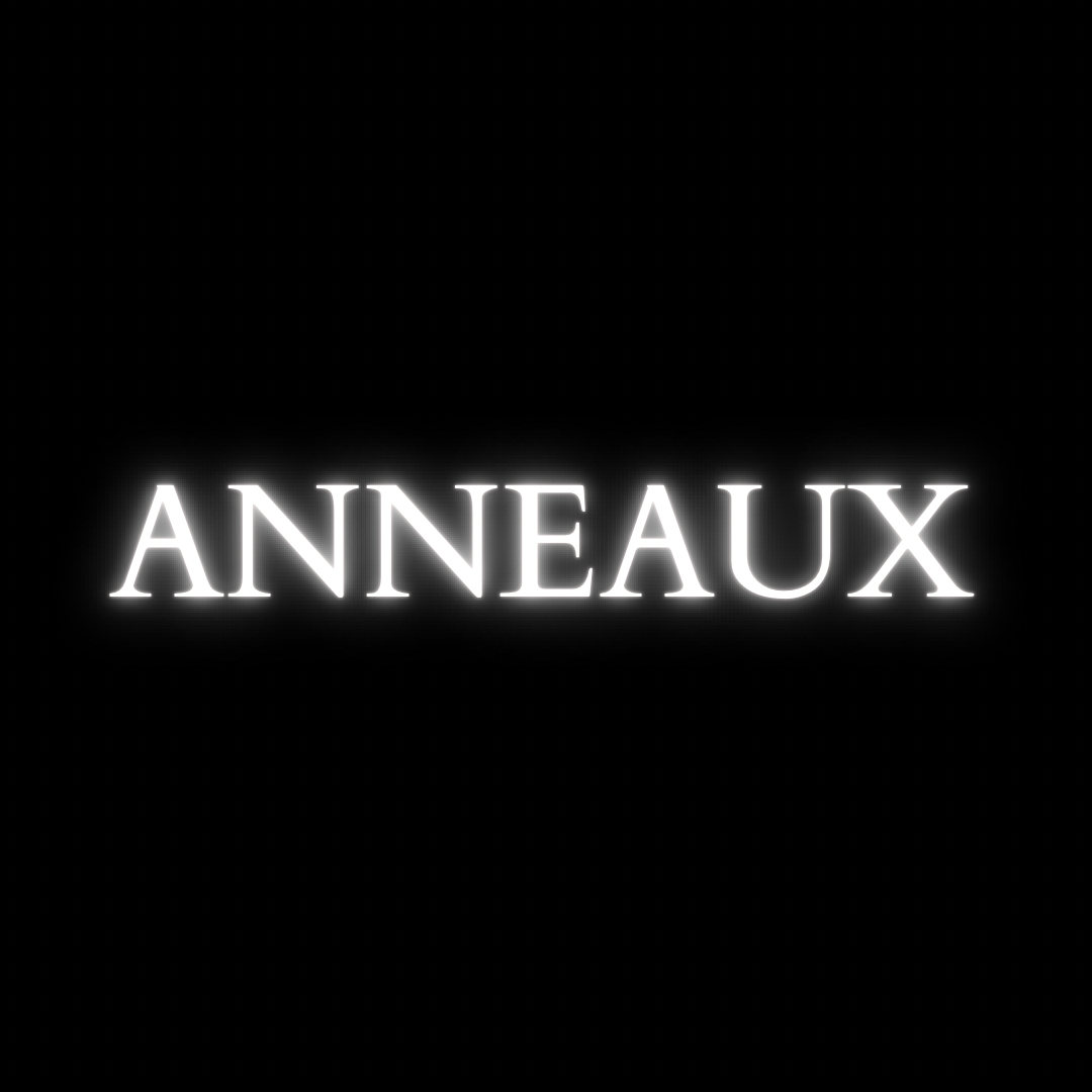 The Anneaux | Best Jewellery In Town – THE ANNEAUX